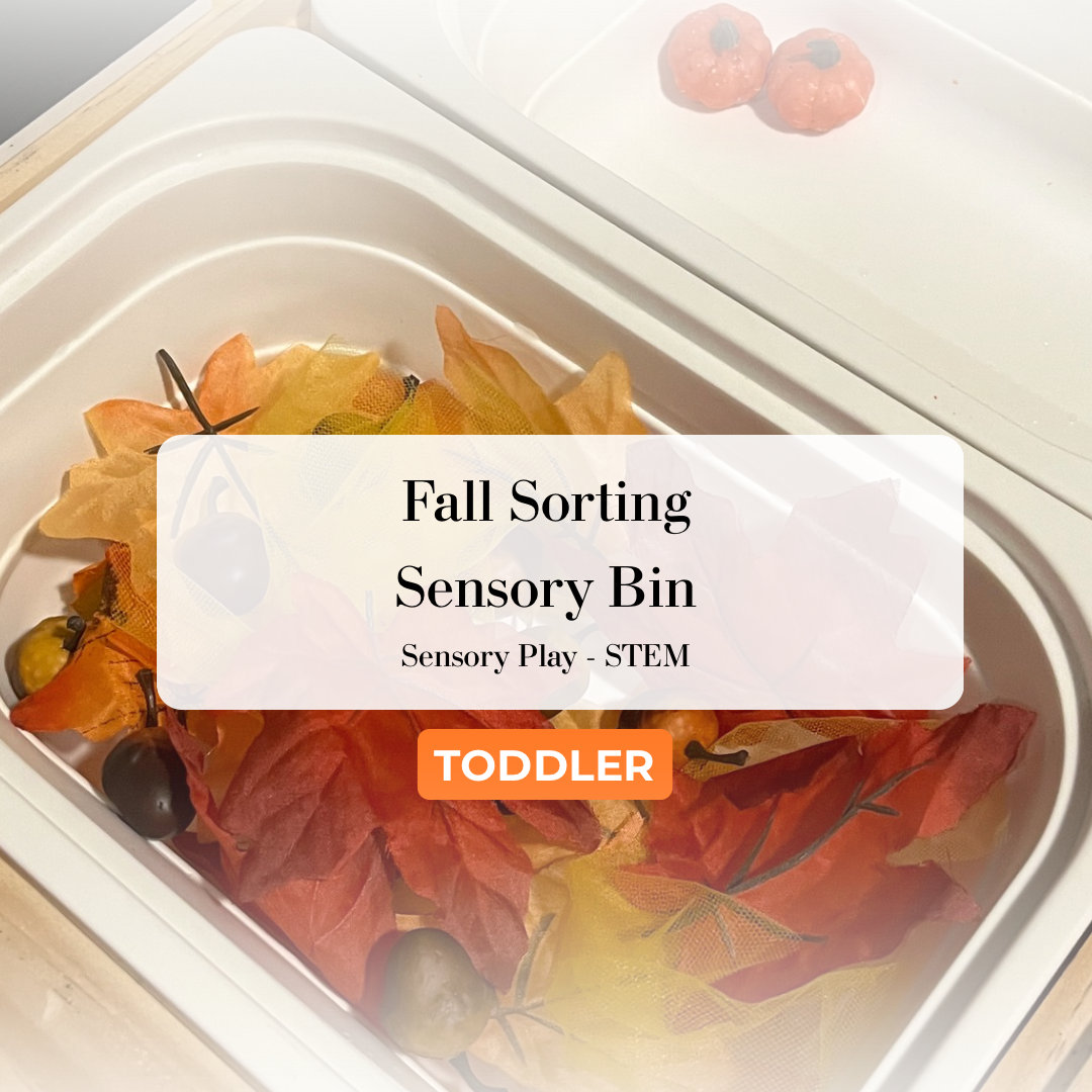 Fall Sorting Sensory Bin – Little Scholars Workshop